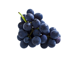 Our Fruit - Trinity Fruit Company