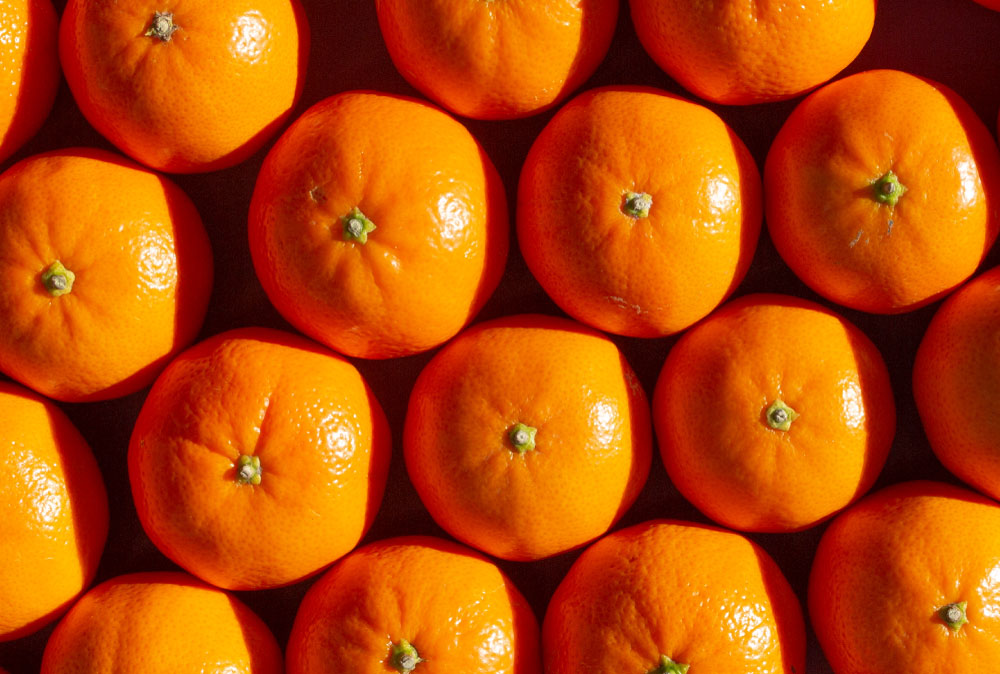 Sustainability - Trinity Fruit Company