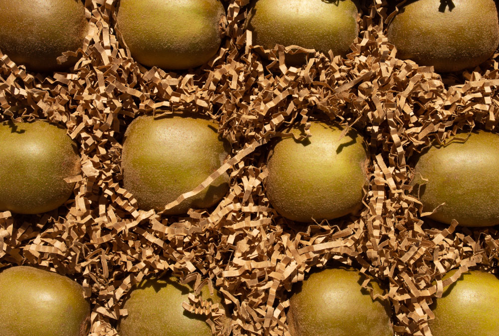 Sustainability - Trinity Fruit Company