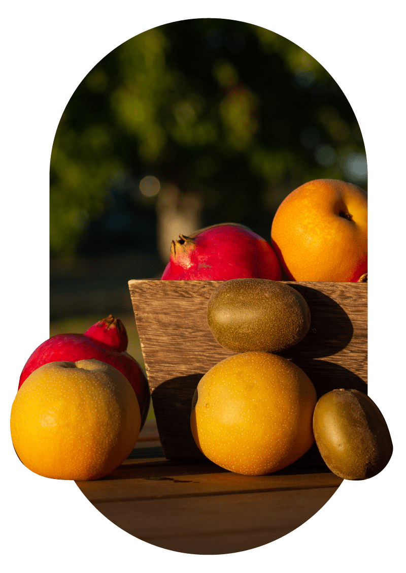 Products - Trinity Fruit Company